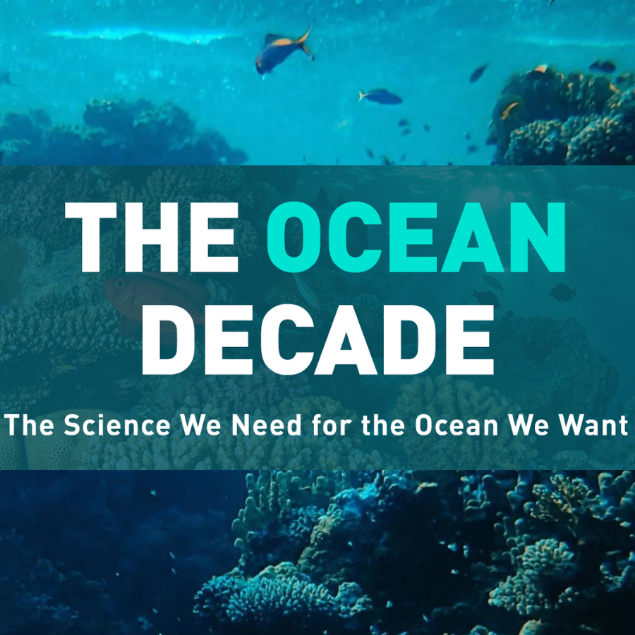 Call for Contributions: The Ocean Decade Vision 2030 White Papers ...